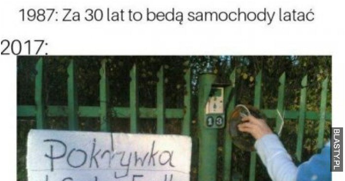 Za 30 lat będą samochody latać memy, gify i śmieszne obrazki facebook ...