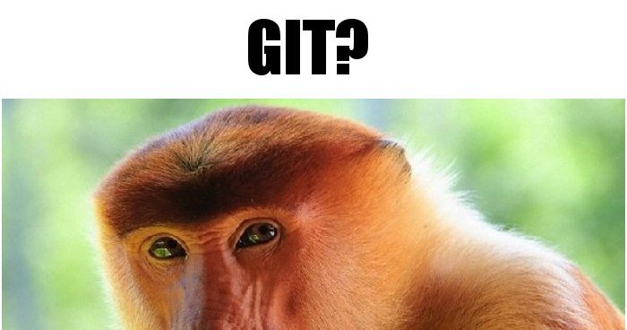 GIT? memy, gify i śmieszne obrazki facebook, tapety, demotywatory zdjęcia