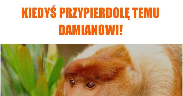 kiedyś przypierdolę temu Damianowi! memy, gify i śmieszne obrazki ...
