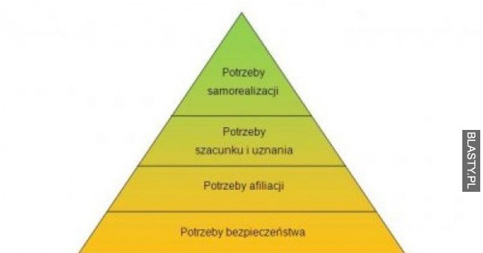 Piramida maslova memy, gify i śmieszne obrazki facebook, tapety ...