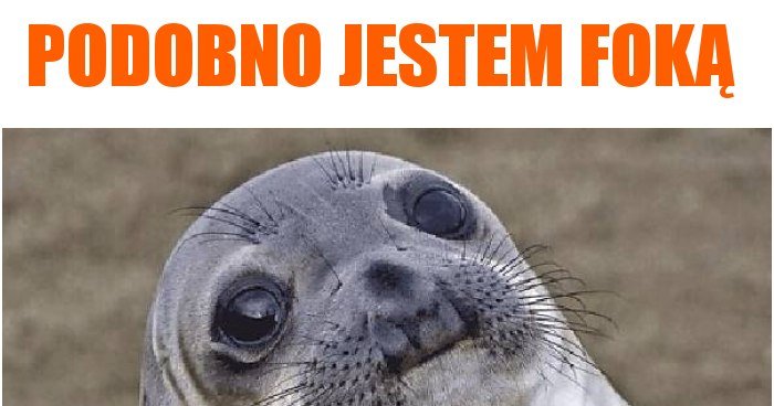 Podobno jestem foką memy, gify i śmieszne obrazki facebook, tapety ...