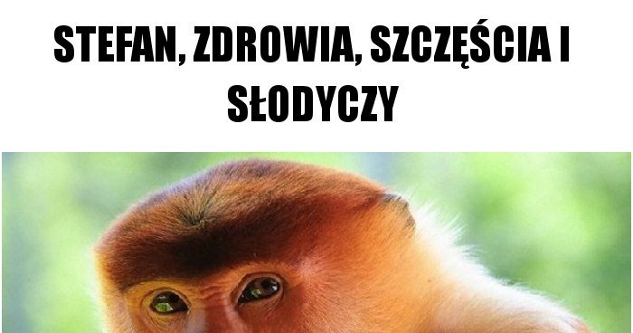 STEFAN, ZDROWIA, SZCZĘŚCIA I SŁODYCZY memy, gify i śmieszne obrazki ...