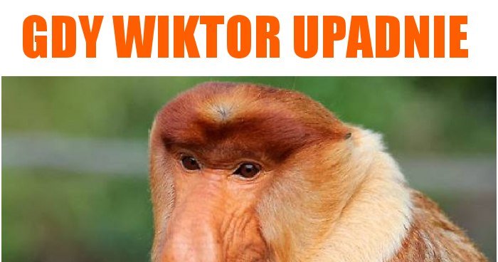 Gdy Wiktor upadnie memy, gify i śmieszne obrazki facebook, tapety ...