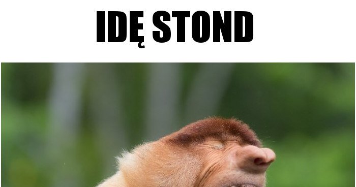 Idę stond memy, gify i śmieszne obrazki facebook, tapety, demotywatory ...