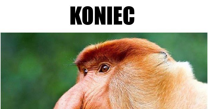 Koniec memy, gify i śmieszne obrazki facebook, tapety, demotywatory zdjęcia