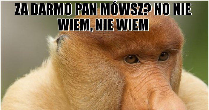 Za darmo pan mówsz? no nie wiem, nie wiem memy, gify i śmieszne obrazki ...