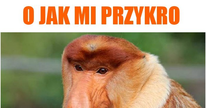 O jak mi przykro memy, gify i śmieszne obrazki facebook, tapety, demotywatory zdjęcia