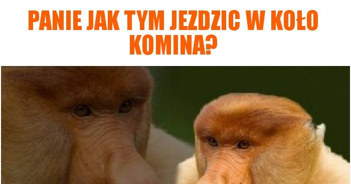 Panie jak tym jezdzic w koło komina? memy, gify i śmieszne obrazki ...