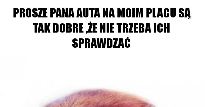 Prosze pana auta na moim placu są tak dobre ,że nie trzeba ich ...