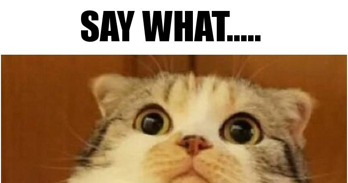 Say what..... memy, gify i śmieszne obrazki facebook, tapety ...