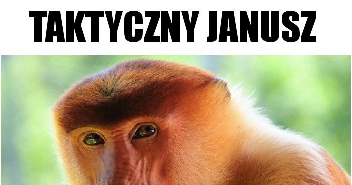 Taktyczny Janusz memy, gify i śmieszne obrazki facebook, tapety ...
