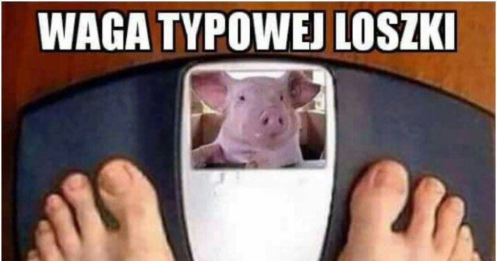 Waga loszki memy, gify i śmieszne obrazki facebook, tapety ...