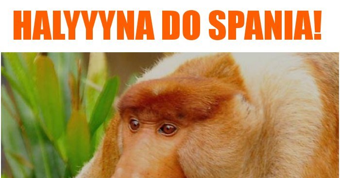 Halyyyna do spania! memy, gify i śmieszne obrazki facebook, tapety ...