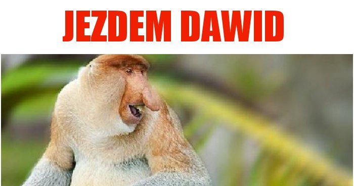 Jezdem Dawid memy, gify i śmieszne obrazki facebook, tapety ...