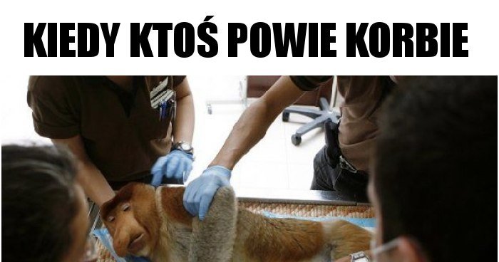 Kiedy ktoś powie korbie memy, gify i śmieszne obrazki facebook, tapety ...