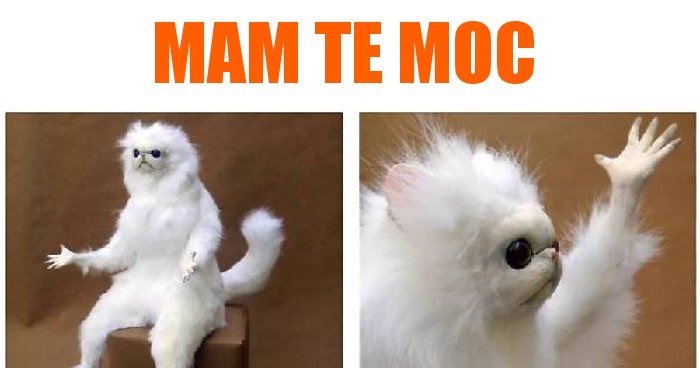 Mam te moc memy, gify i śmieszne obrazki facebook, tapety, demotywatory ...