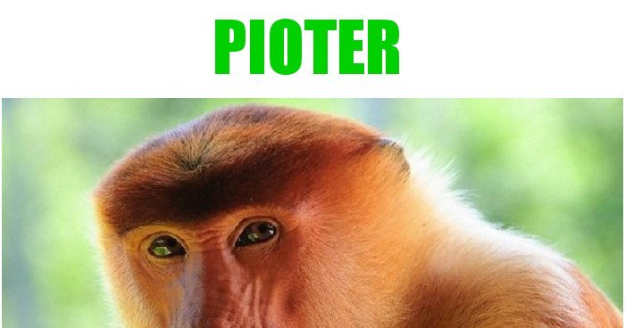 PIOTER memy, gify i śmieszne obrazki facebook, tapety, demotywatory zdjęcia