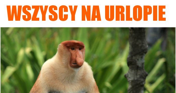 Wszyscy na urlopie memy, gify i śmieszne obrazki facebook, tapety ...