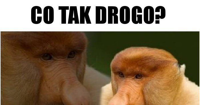 co tak drogo? memy, gify i śmieszne obrazki facebook, tapety ...