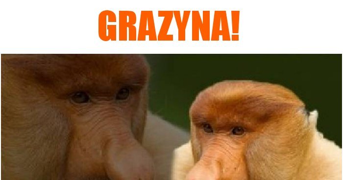 Grazyna! memy, gify i śmieszne obrazki facebook, tapety, demotywatory ...