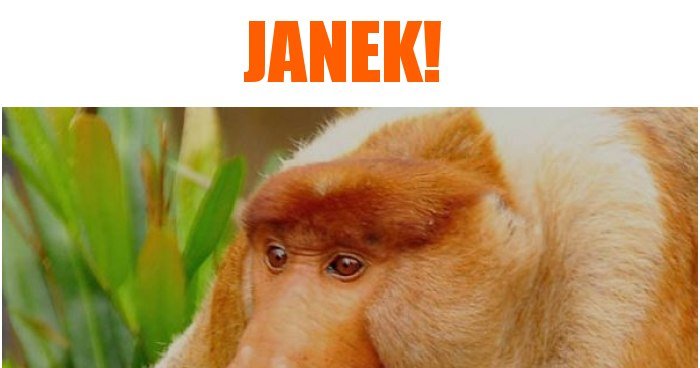 Janek! memy, gify i śmieszne obrazki facebook, tapety, demotywatory zdjęcia