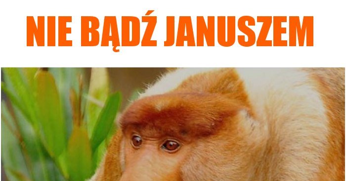 NIE BĄDŹ JANUSZEM memy, gify i śmieszne obrazki facebook, tapety ...