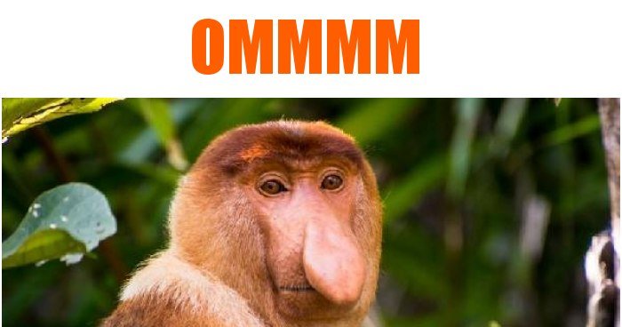 Ommmm memy, gify i śmieszne obrazki facebook, tapety, demotywatory zdjęcia