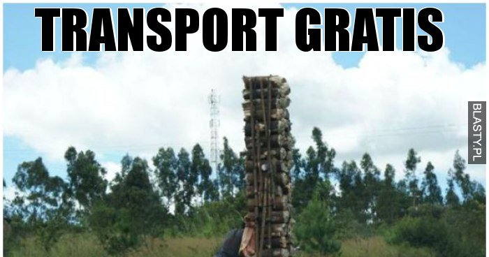 TRANSPORT GRATIS memy, gify i śmieszne obrazki facebook, tapety ...