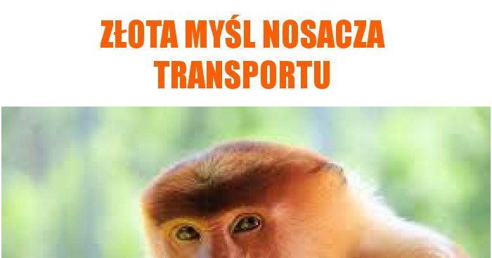 złota myśl nosacza transportu memy, gify i śmieszne obrazki facebook ...