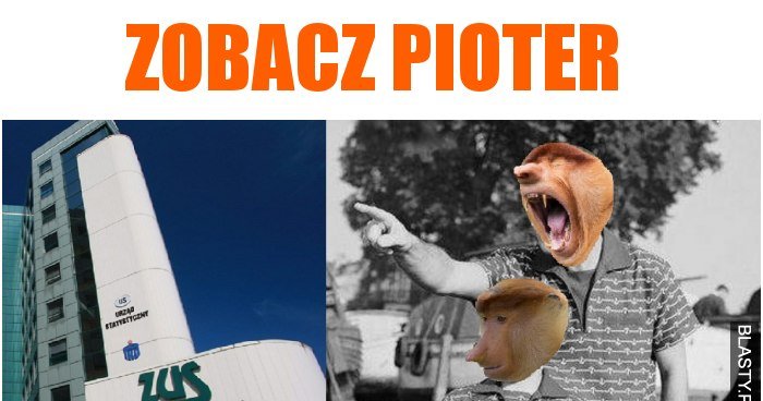 ZOBACZ PIOTER memy, gify i śmieszne obrazki facebook, tapety ...