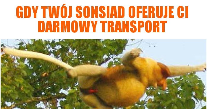 Gdy Twój sonsiad oferuje Ci darmowy transport memy, gify i śmieszne ...