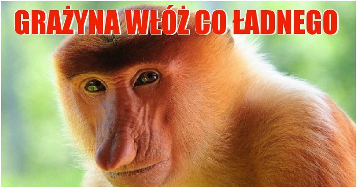 Grażyna włóż co ładnego memy, gify i śmieszne obrazki facebook, tapety ...