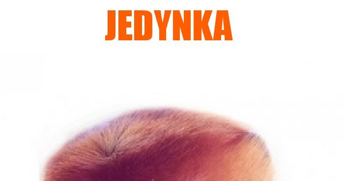 Jedynka memy, gify i śmieszne obrazki facebook, tapety, demotywatory ...