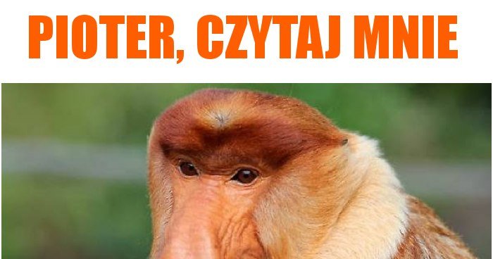 PIOTER, CZYTAJ MNIE memy, gify i śmieszne obrazki facebook, tapety ...