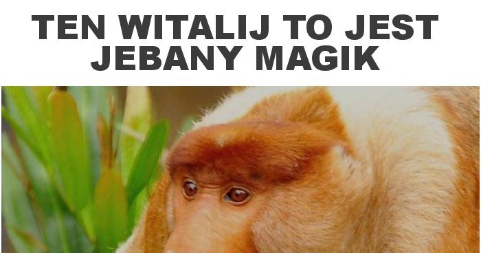 Ten witalij to jest jebany magik memy, gify i śmieszne obrazki facebook ...