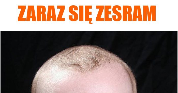 Zaraz się zesram memy, gify i śmieszne obrazki facebook, tapety ...