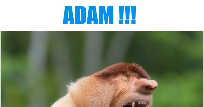 Adam !!! memy, gify i śmieszne obrazki facebook, tapety, demotywatory ...