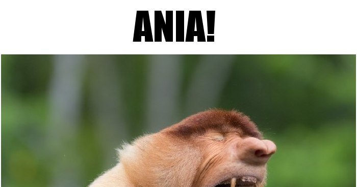 ANIA! memy, gify i śmieszne obrazki facebook, tapety, demotywatory zdjęcia