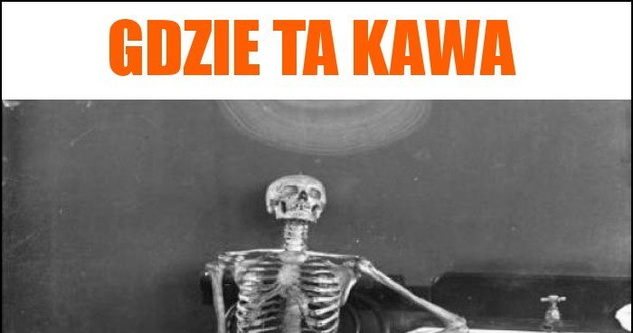 Gdzie ta kawa memy, gify i śmieszne obrazki facebook, tapety ...