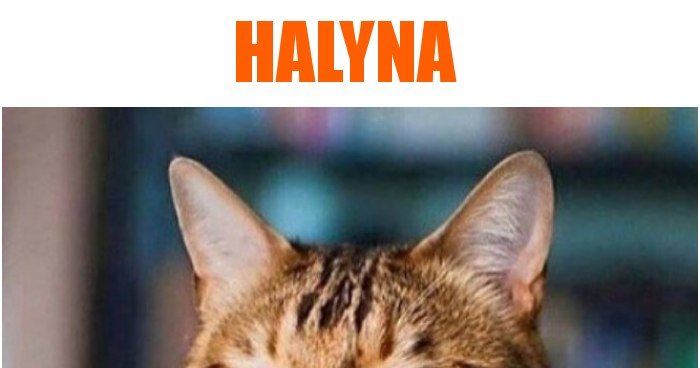 halyna memy, gify i śmieszne obrazki facebook, tapety, demotywatory zdjęcia