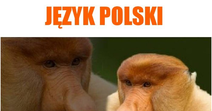Język polski memy, gify i śmieszne obrazki facebook, tapety ...