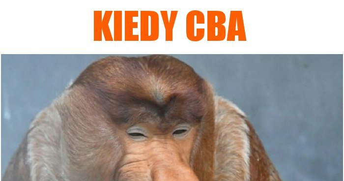 Kiedy CBA memy, gify i śmieszne obrazki facebook, tapety, demotywatory ...