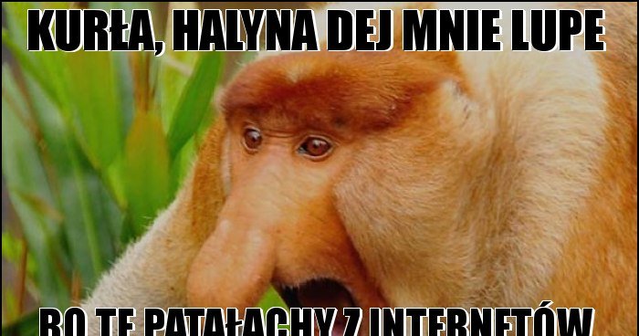 Kurła, Halyna dej mnie lupe memy, gify i śmieszne obrazki facebook ...