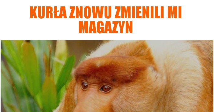 kurła znowu zmienili mi magazyn memy, gify i śmieszne obrazki facebook ...