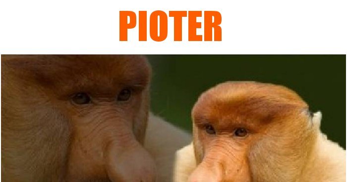 PIOTER memy, gify i śmieszne obrazki facebook, tapety, demotywatory zdjęcia