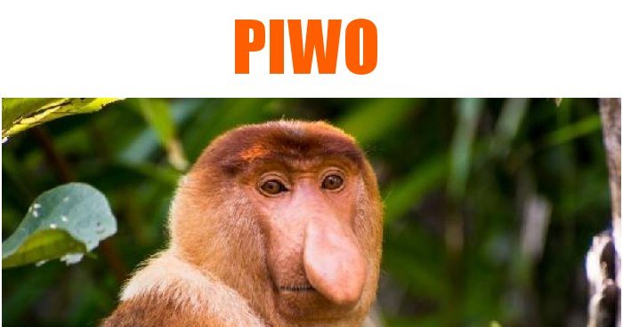 Piwo memy, gify i śmieszne obrazki facebook, tapety, demotywatory zdjęcia