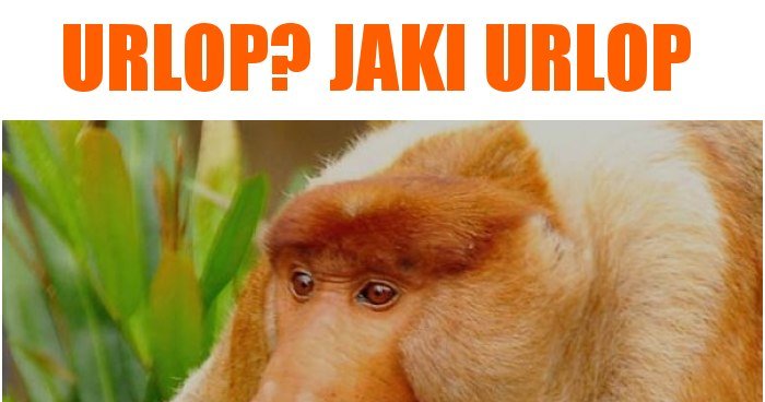 Urlop? Jaki Urlop memy, gify i śmieszne obrazki facebook, tapety ...