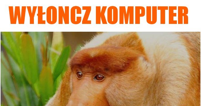 WYŁONCZ KOMPUTER memy, gify i śmieszne obrazki facebook, tapety ...