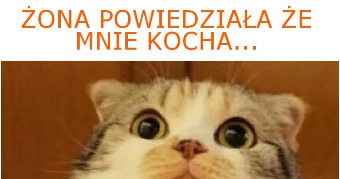 Żona powiedziała że mnie kocha... memy, gify i śmieszne obrazki ...