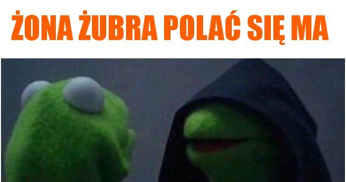 Żona żubra polać się ma memy, gify i śmieszne obrazki facebook, tapety ...
